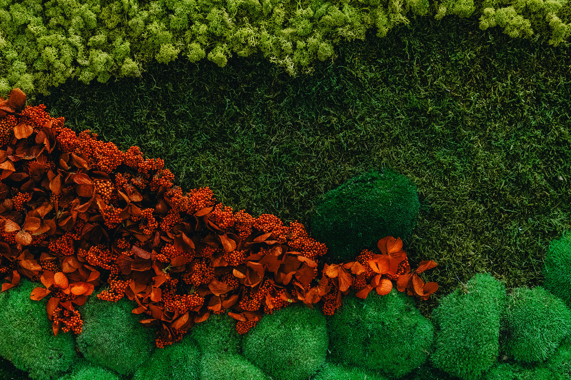 The OccuNet Company | Industry-unique healthcare solutions